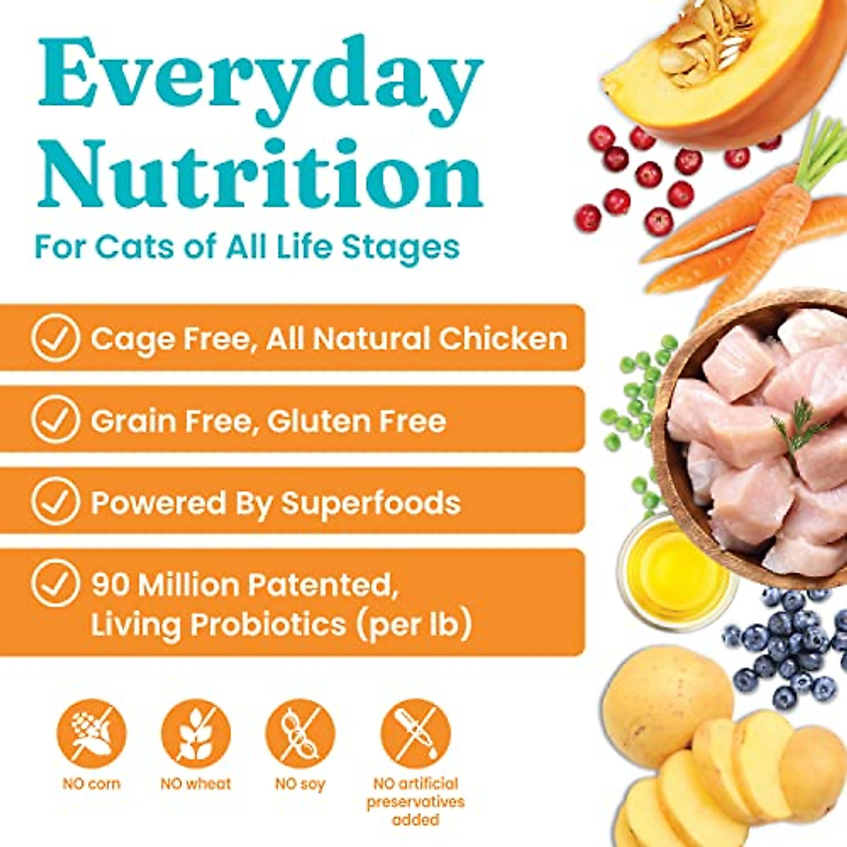 Solid Gold High Protein Dry Cat Food - Indigo Moon Cat Dry Food with Digestive Probiotics for Cats - Grain & Gluten Free with High Fiber & Omega 3 for Cats - Low Carb Superfood Meal - Chicken - 12lb