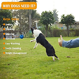 DGAGRCHEW Puppy Toys for Teething, Puppy Chew Toys for Small Dogs, Treat Dog Toys for Small Dogs 0-6 Months (Blue)