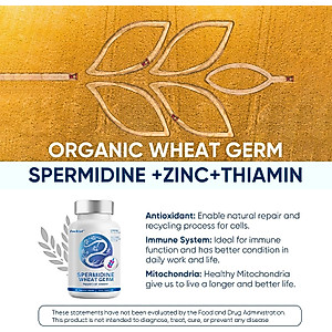 Zenlifer 120 Capsules Spermidine Wheat Germ 1500mg, Spermidine Supplements Wheat Germ Extract with Zinc for Antioxidant and Healthy Aging, Cell Renewal and Immune