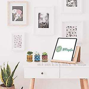 Warmplus Succulent Pots, 3 inch Mandala Planter Pot with Drainage and Bamboo Tray, Small Pots for All House Plants, Succulents, Flowers, Cactus, Pack of 6 - Plants Not Included