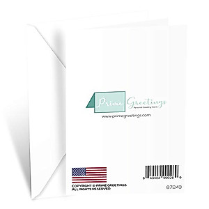 Happy 75th Birthday Greeting Card | Made in America | Eco-Friendly | Thick Card Stock with Premium Envelope 5in x 7.75in | Packaged in Protective Mailer | Prime Greetings
