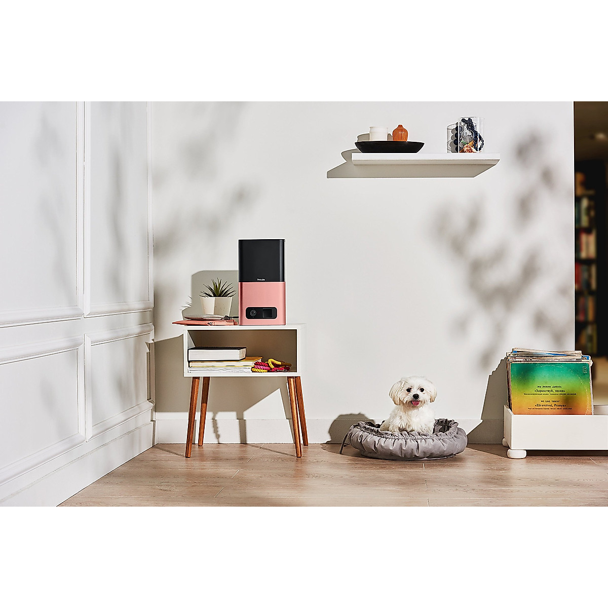 [2017 Item ] Petcube Bites Pet Camera with Treat Dispenser: HD 1080p Video Monitor, 2-Way Audio, Night Vision, Sound and Motion Alerts. For Dogs and Cats