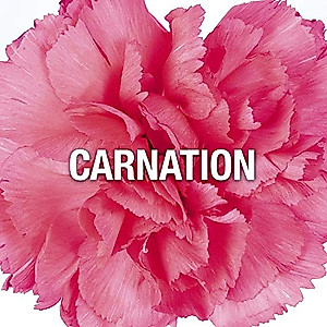 Giorgio Beverly Hills Red Perfume for Women, 3 fl. oz. EDT Spray