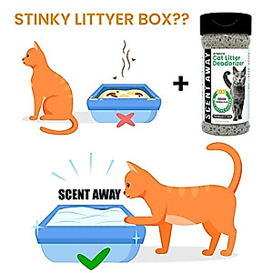 SCENT AWAY Cat Litter Deodorizer Litter Box Odor Eliminator | Fragrance Free Cat Litter Deodorizer with Active Carbon | Eliminates Cat Odors and Smells to Keep Your Home Fresh and Clean (Pack of 1)