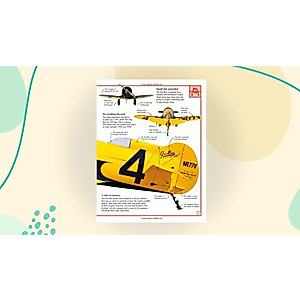 The Big Book of Airplanes (DK Big Books)