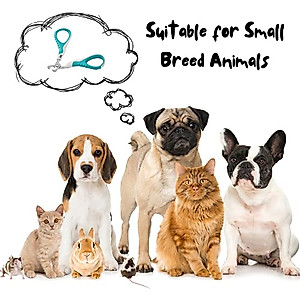 Mr. Pen- Cat Nail Clipper, Cat Nail Trimmers, Cat Claw Clippers, Cat Claw Trimmers, Kitten Nail Clipper, Cat Clippers for Nails, Nail Clippers for Cats, Pet Nail Clippers for Cats, Cat Nail Cutter