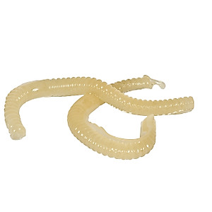 Sweeney's S6009 Poison Moleworms 2.29 Oz