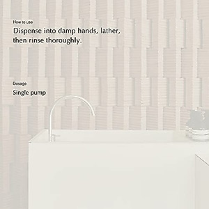 Aesop Resurrection Aromatique Hand Wash | 500mL/16.9 oz | Paraben, Cruelty-free & Vegan