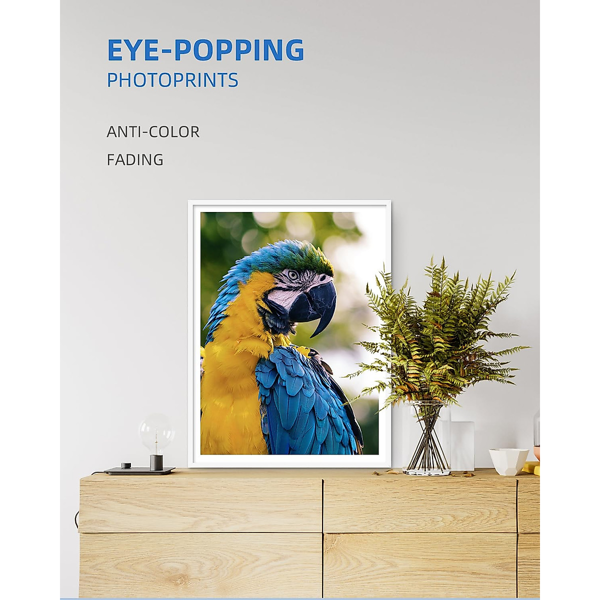 OIunendlich Compatible Epson 502 T502 Refill Ink Bottles Replacement for Epson Ecotank ET-2750 ET-3750 ET-4750 ET-2760 ET-3760 ET-4760 ET-2700 ET-3700 ET-3710 ET-15000 ST-2000 ST-3000 ST-4000 Printer