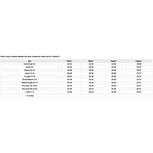 Spirit Halloween Adult Miraculous Ladybug Cat Noir Costume - L