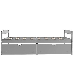 Lifeand Twin Size Daybed with 2 Drawers,Wood Storage Platform Bed for Kids Teens and Adults,No Box Spring Needed