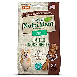 Nylabone Nutri Dent Filet Mignon Flavored Dog Dental Chews 32 Mini 1.75" Treats for Dogs 5-10 lbs.