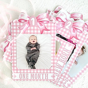 Pink Bow Photo Banner,First Birthday Decorations for Girl,Newborn to 12 Months Photo Banner,1st Birthday Milestone,First Year Photos,Baby Shower