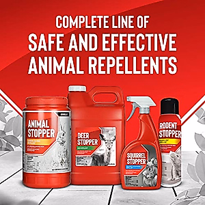 Messina Wildlife Squirrel Stopper Repellent - Safe & Effective, All Natural Food Grade Ingredients; Repels Squirrels and Chipmunks; Ready to Use, 15 oz. Spray Can