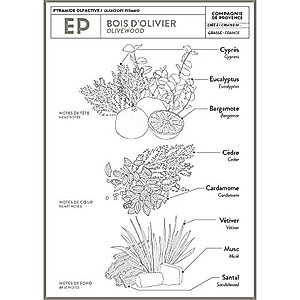 Compagnie de Provence Savon de Marseille Extra Pure Liquid Soap - Olive Wood - 16.7 Fl Oz Glass Pump Bottle