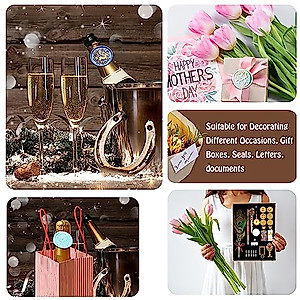 Aifeiter Quill Pen Ink Set - Peacock Feather, Wooden Dip Pen, Reusable Journal, Calligraphy Set