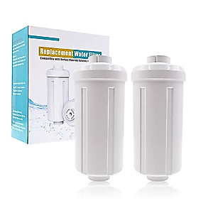 ShuRex Replacement White Fluoride Water Filter, Fluoride and Arsenic Reduction Element Filter, Compatible with Berkey and other Gravity Filtration System (Pack of 2 x White Fluoride Filters)