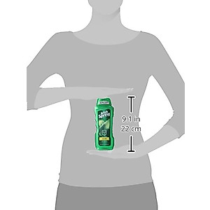 Irish Spring Body Wash, Aloe, 18 Fl Oz