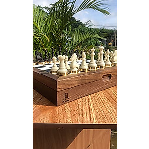 Ttc games Premium Chess Set, 11''x11 Wooden Leather Chess Board, Resin and Brass Chess Pieces, with Storage, a Luxury Gifts and Decor