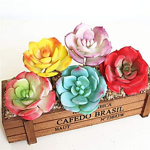 FABSELLER 12pcs Artificial Succulent Plants Mixed Fake Unpotted Succulents Faux Flowers for DIY Wall Home Indoor Garden Decoration (Red/Purple, Random Send)