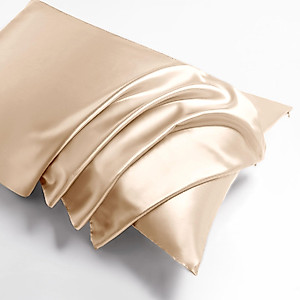 THXSILK Mulberry Silk Pillowcase, Champagne, Queen, 19 Momme, with Hidden Zipper, 20"