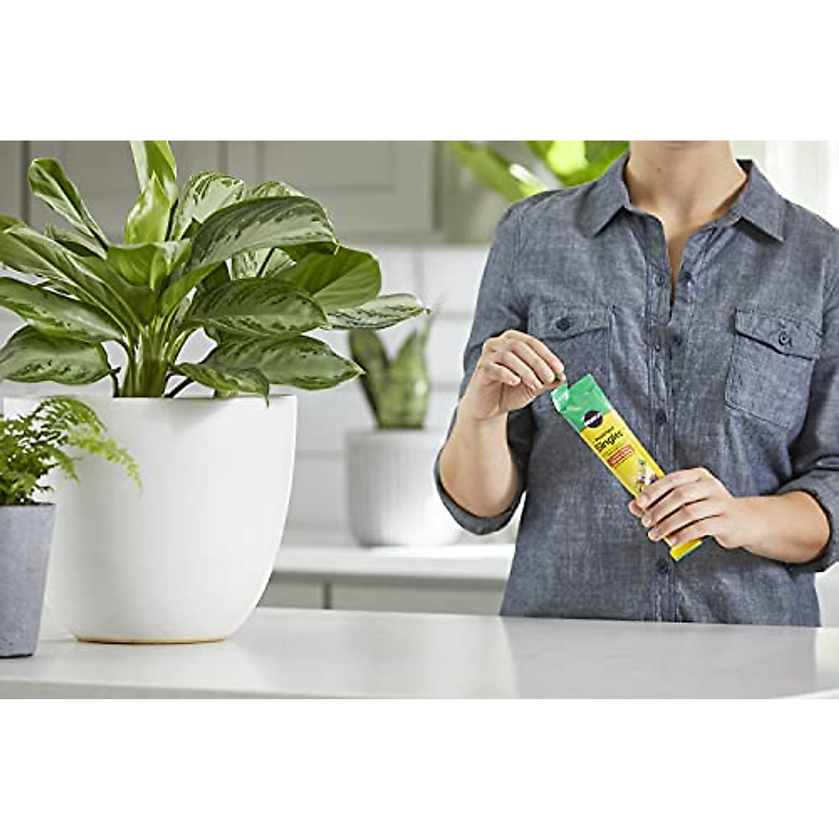 Miracle-Gro Pour & Feed Singles Ready-To-Use Liquid Plant Food - Pre-Measured Liquid Plant Fertilizer for Potted Plants, 2 oz. Singles