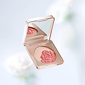 FLORASIS Engaging Colors Holiday Set