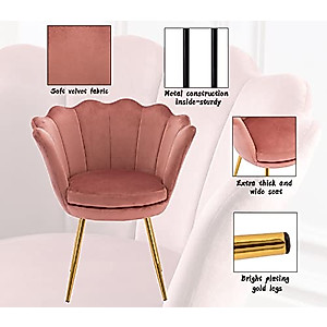 chairus Velvet Accent Chair, Upholstered Vanity Chair with Shell Back & Gold Metal Legs, Modern Small Armchair Side Chair Guest Chair for Living Room Bedroom Makeup Dressing Room, Antique Pink