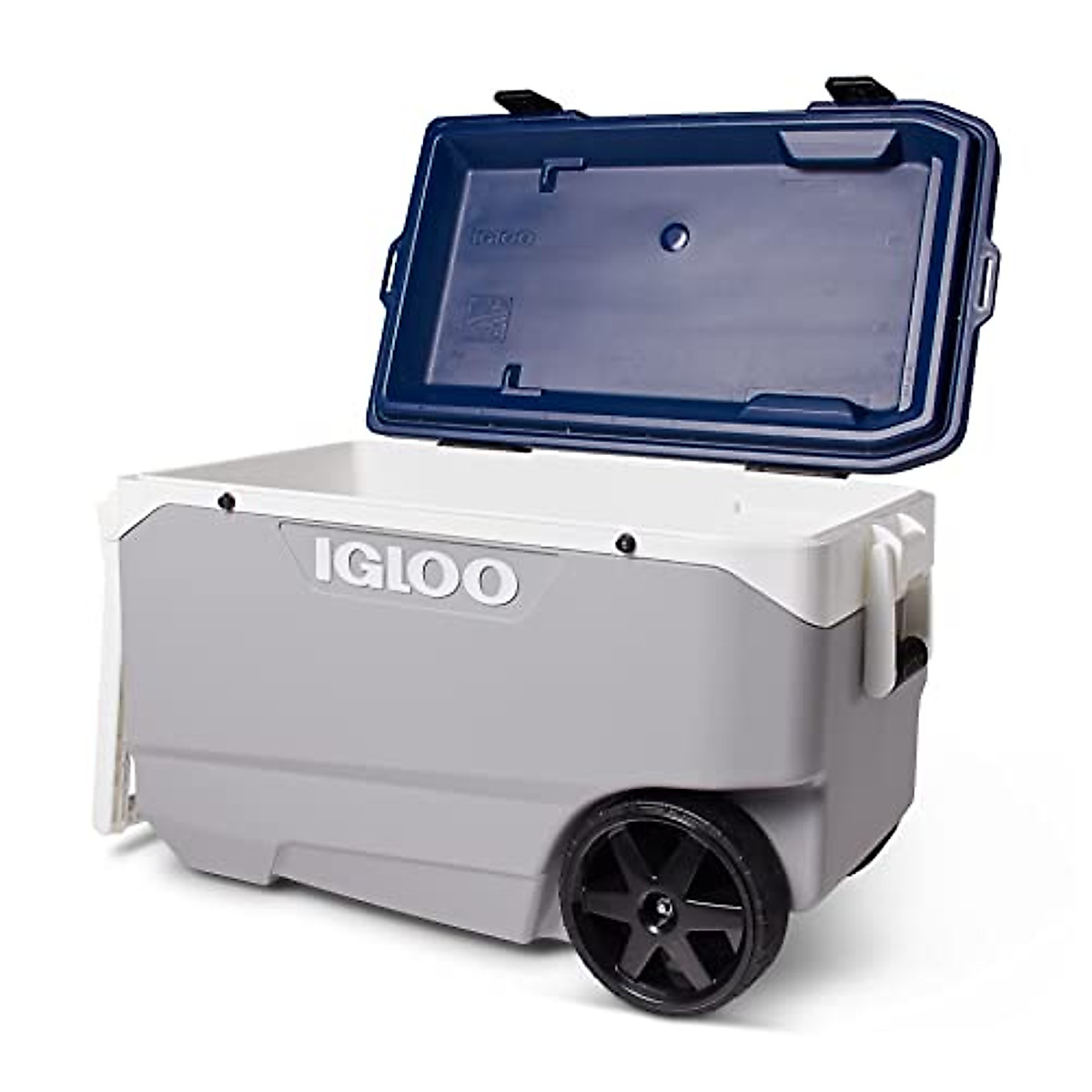 Igloo Maxcold Latitude 90 Roller (Ash Gry.Wht.Aegean Sea.Blk) 00034818