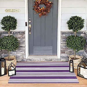 Purple and White Striped Outdoor Rug 24'' x 51''Outdoor Front Porch Rug Hand-Woven Machine Washable Indoor/Outdoor Layered Door Mats for Entryway/Bedroom/Outdoor
