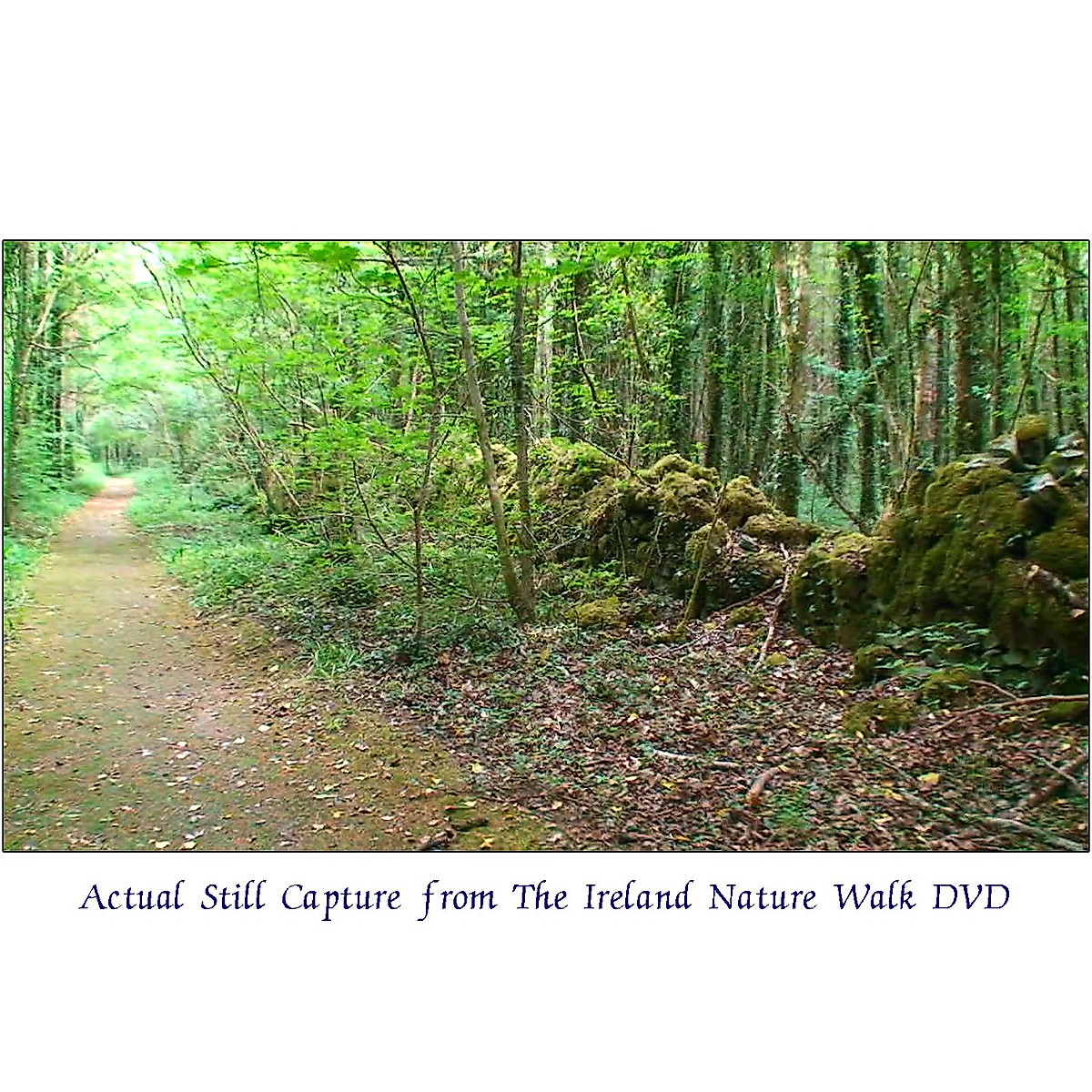 Ireland Nature Walk Treadmill Scenery DVD