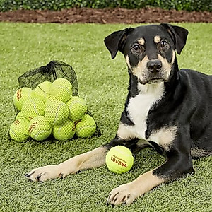 Tourna Mesh Carry Bag of 18 Tennis Balls