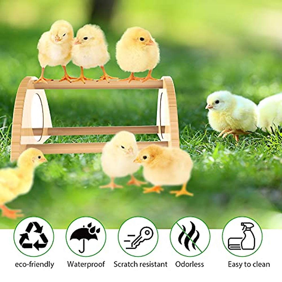 Ensayeer Mini Chick Perch with Mirror, Strong Bamboo Roosting Bar for coop and brooder, Training Perch for Baby Chicks, El Pollitos, La Pollita, Easy to Assemble and Clean, Fun Toys for Chick