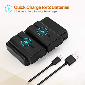 LORDONE NP-F550 Battery, 2-Pack 2700mAh NP F550 Battery and Dual USB Charger Set for Sony NP F970, F750, F770, F960, F550, F530, F330, F570, CCD-SC55, TR516, TR716, TR818, TR910, TR917 and More