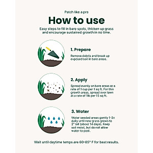 Sunday Bare Repair Sun and Shade Grass Seed Spot Treatment - Grass Seed for Shade and Hard to Grow Areas - Lawn Patch Repair That Works in 14 Days or Less - 3.75lb Jug (Covers 55 Sq Ft)