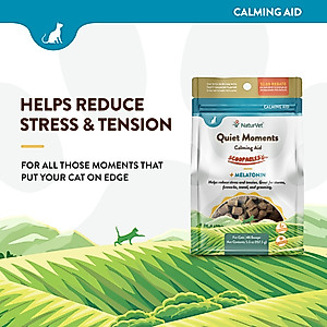 NaturVet Scoopables Quiet Moments Cat Calming Aid - Promotes Calm with Stressful Events Storms, Fireworks, Travel, Separation Anxiety - Cat Health Supplement w/Melatonin - Salmon Flavored | 5.5oz Bag