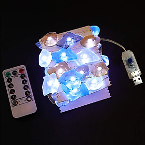 WSgift Sea Glass String Lights, Beach Theme Decorative Lights 19 Ft 40 LED USB Plug-in with Remote and Timer for Indoor Outdoor Tent Wedding Nursery Bedroom Party Birthday