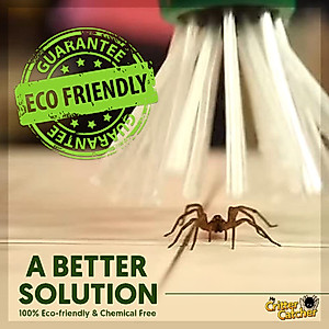 My Critter Catcher - Spider and Insect Catcher