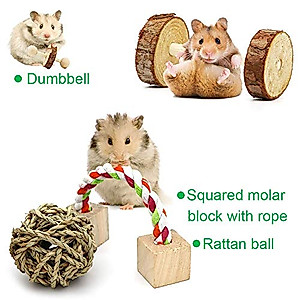 Hamster Chew Toys Set Natural Wooden Hamster Toys and Accessories Teeth Care Molar Toys for Guinea Pigs Syrian Hamster Rats Chinchillas Gerbils Hamster Swing Seesaw Pack of 10