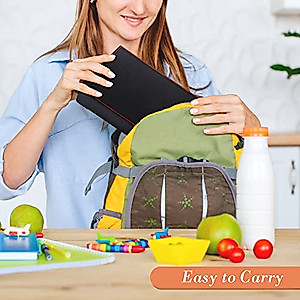 TOPINCN 5 Compartment Lunch Container, Portable Plastic Bento Box Microwavable Lunch Boxes with Lids Multi-use Food Storage Container for Picnic Home Office, 10.63x 8.07x 1.97inch