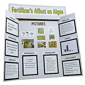 Pacon Presentation Board Project Kit with Project Papers