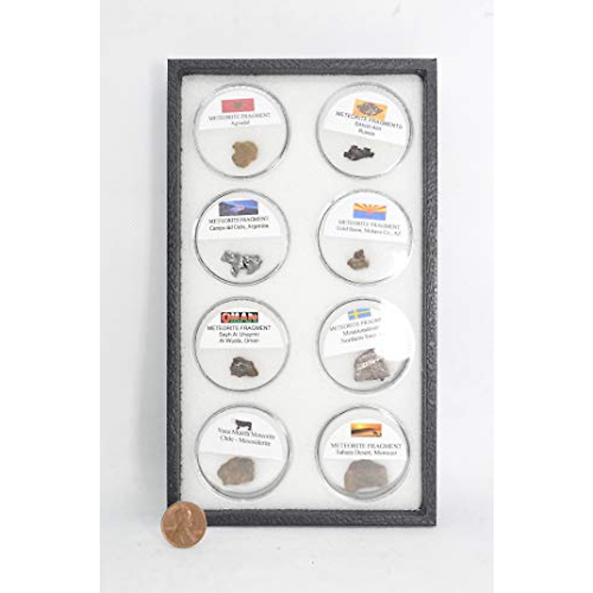 Space Collection 2020: Eight Meteorites Around The World, Mars Rock, Moon Rock