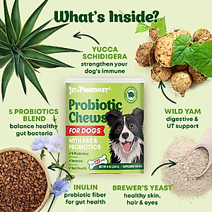 Dog Probiotic Chews - 120 pcs
