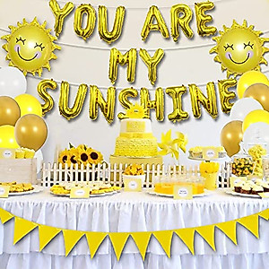 Sunshine Party Decorations Yellow Birthday Decorations Sun Party Decorations Sunshine Birthday Decorations You Are My Sunshine Party Decorations Banner Sunshine Baby Shower Decorations Sun Balloon