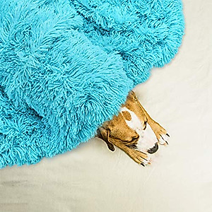 Andecor Soft Fluffy Faux Fur Throw Blanket - 50 x 60 Inches Plush Lightweight Warm Shaggy Fleece Blankets for Bed Couch Sofa Chair Home Decorative, Teal Blue