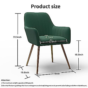 Purgreen Velvet Dining Chair Set of 2 - Modern Mid-Back Accent Chair with Gold Plating Legs - Upholstered Living Room Chair (Velvet Green, Set of 2)