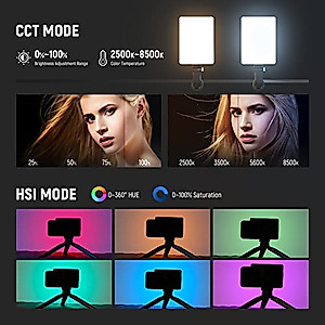 NEEWER RGB LED Light for Phone with Phone Holder & Light Clip, Dimmable CRI 97+ 3 Modes Phone Light, Built in 2000mAh Battery for Tablet/Laptop/Video Conference/TikTok/Selfie/Vlog/Live Stream, VL66C