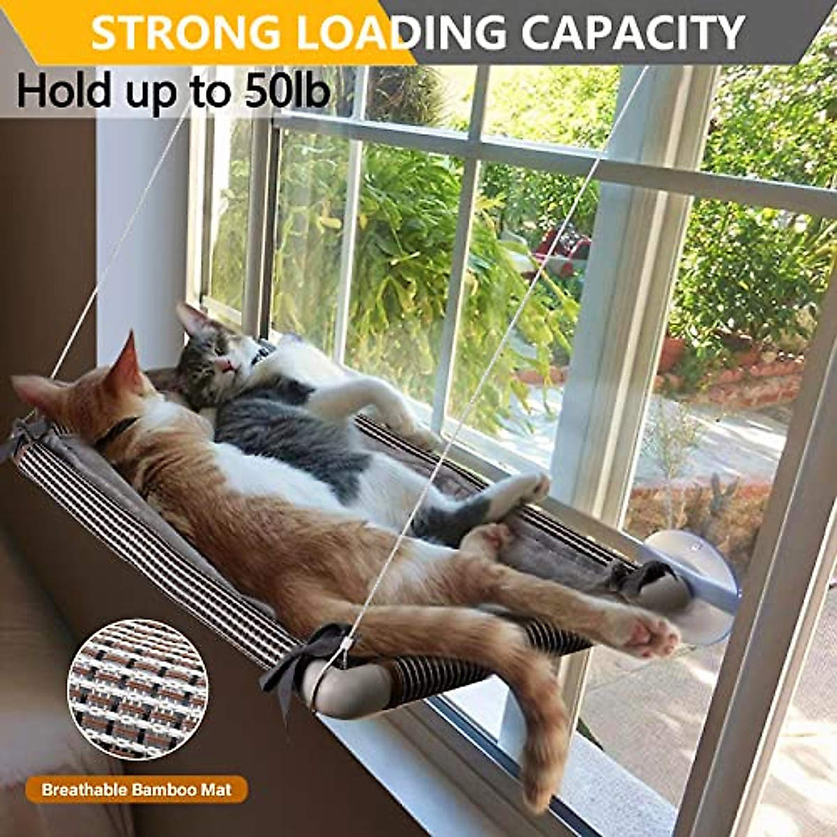 Cat Window Perch, Large Cat Hammock Bed w/Free Blanket Strong Suction Cups, Window Cat Bed Safety Sturdy for Indoor Two Large Cats or Kittens Resting Seat