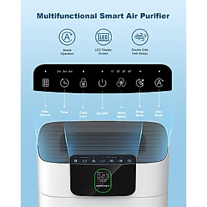 WESTHEY Official Genuine HY4866 Replacement Filter TRUE HEPA Filter, Four-layer high-efficiency purification filter Suitable for WESTHEY HY4866 Air Purifier, Pet Filter 2 PCS