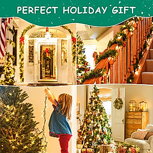 HEYFUNi Clear Christmas Lights 50Count 13Feet White Christmas Tree Lights Set, Incandescent Bulb Mini String Lights for Indoor Outdoor Tree Party Weeding Home Xmas Holiday Decorations,Green Wire